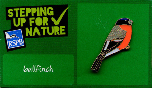 Home [www.birdpinbadges.co.uk]