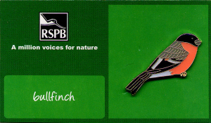 Home [www.birdpinbadges.co.uk]